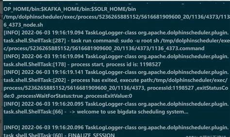 Dophinesheduler上下游任务之间动态传参案例及易错点总结 海豚调度 博客园