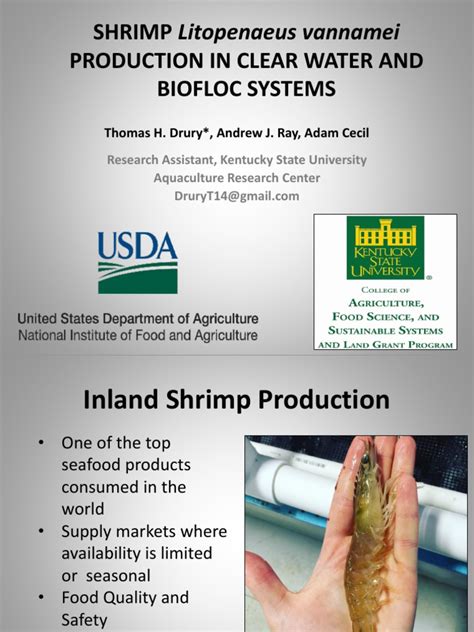 Shrimp Litopenaeus Vannamei Production In Clear Water And Biofloc Systems Pdf Pdf Isotope