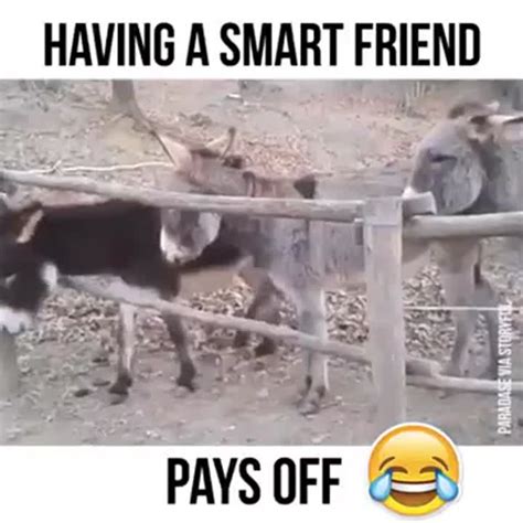 [video] Boban George Posted On Linkedin