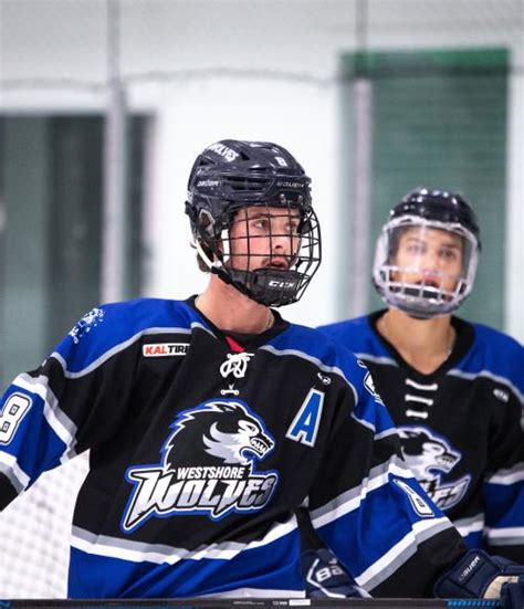 Carson Hamilton Stats Contract Salary And More