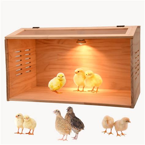 Brooder Box For Chicks Chicken Brooder Box Poultry Brooder With