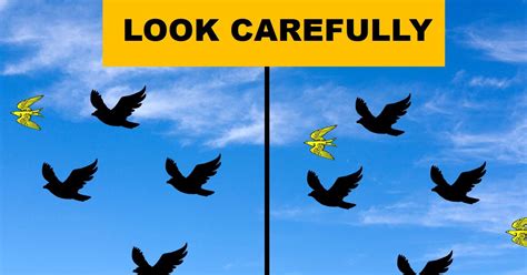 No One Can Pass This Basic Math Test From 1954