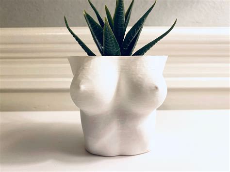 Sexy Erotic Art Planter Pot Erotic Gift For Him Erotic Deco Etsy