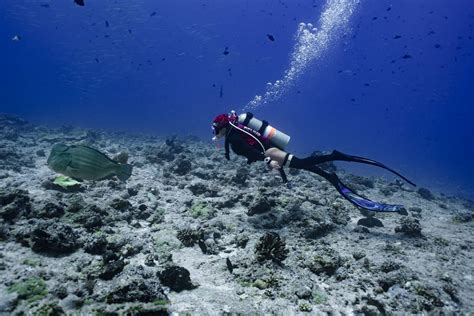 Black Pearl I Yacht Charter Details Palau Dive Charters Charterworld