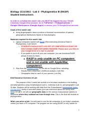 Lab Phylogenetics III RASP Babe Instructions Docx Biology Lab