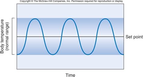 Chapter Flashcards Quizlet