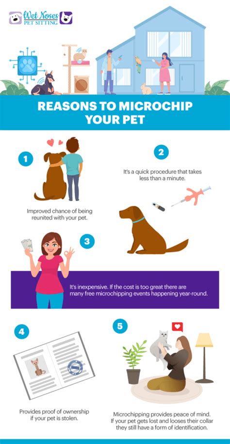 Reasons To Microchip Your Pets Wet Noses Pet Sitting