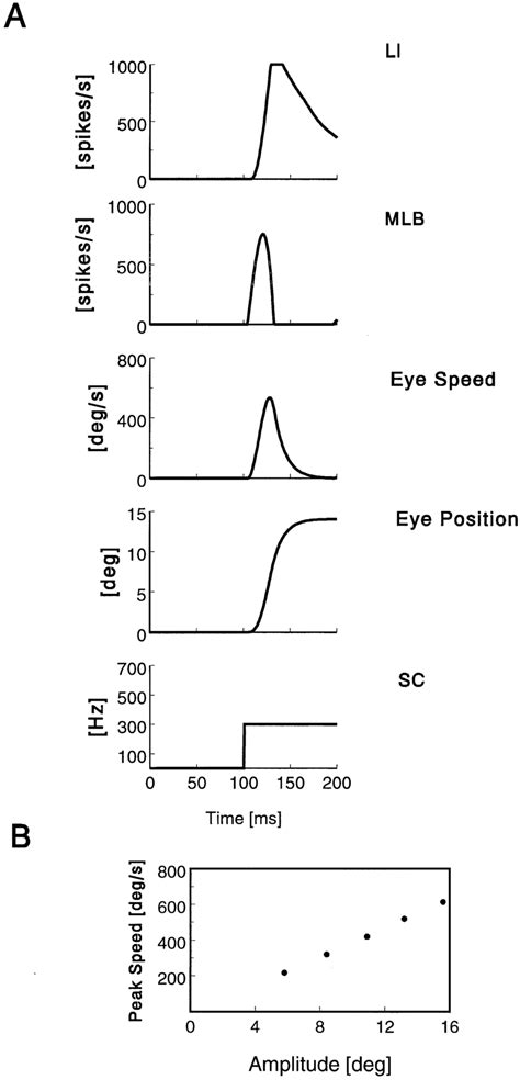 A Single 14° Saccade Generated By The New Model All Model Parameters