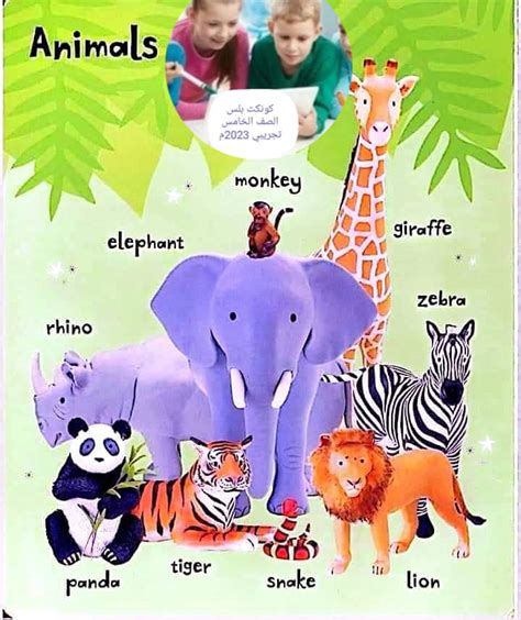 أهم كلمات اللغة الانجليزية للصف الأول الابتدائي الترم الأول 2023 المنهج المصري