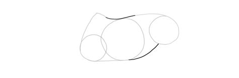 How To Draw A Tiger Envato Tuts