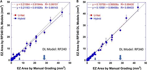Ellipsoid Zone Ez Areas Determined Automatically By Rp240 A And