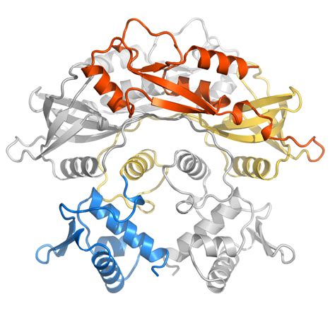 Structures — The Corbett Lab