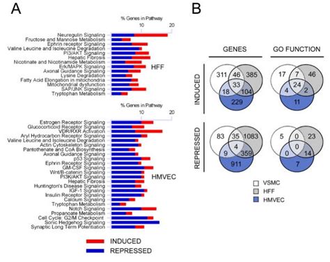 Cellular Processes Predicted By Microarray Data To Be Modulated During Download Scientific
