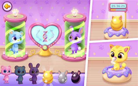 Bubbu And Mimmi World