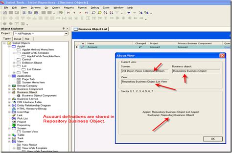 Hellosiebelworld View Siebel Repository Details In Siebel Client Application