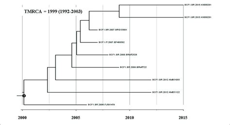 Time Scaled Bayesian Mcmc Tree Of Nine Pol Sequences Of F1cb Hiv 1 Download Scientific