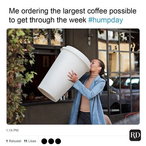 25 Hump Day Memes That Make Wednesdays Bearable Readers Digest
