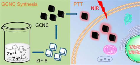 Zif 8衍生的石墨碳纳米立方体用于光热疗法 Inorganic Chemistry X Mol