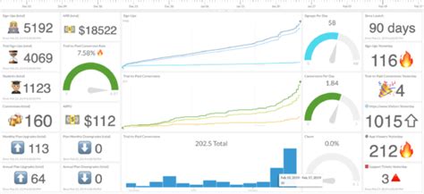 Data Visualization A SaaS KPI Dashboard OC Infographic Tv