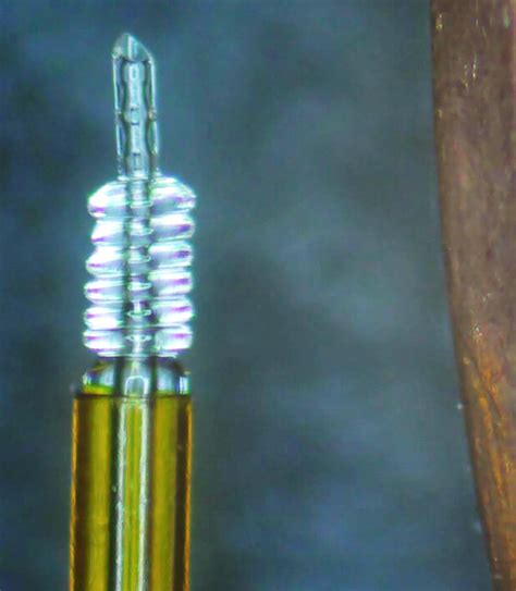 Theam Lab Sunandita Sarker Umass Amherst