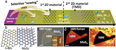 Synthesis Of 2d Materialsh‐bn Lateral Heterostructure By Cvd Method