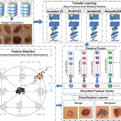 Detailed Illustration Of Proposed Skin Lesion Classification Framework Download Scientific