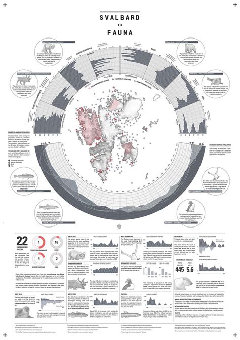 Data Visualization Design Infographic Information Visualization