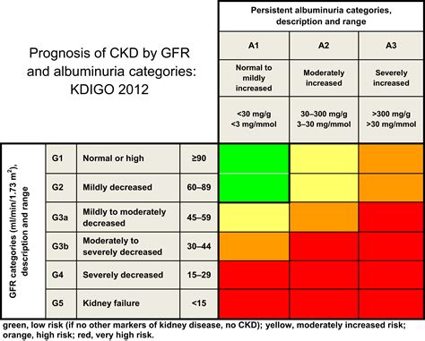 Kdigo 2017 Clinical Practice Guideline Update For The Diagnosis Evaluation Prevention And