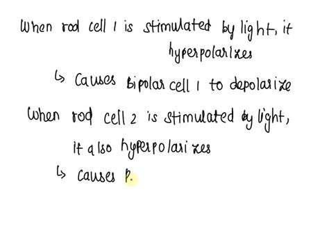 Solved Incorrect Question 21 0 2 Pts Msec With Reference To The Above Diagram Bipolar Cell 1