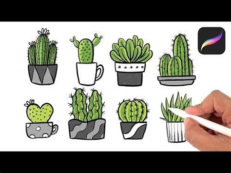 How To Draw Cactus Drawing Tutorials Cactus Drawing Drawing Tutorial Drawings