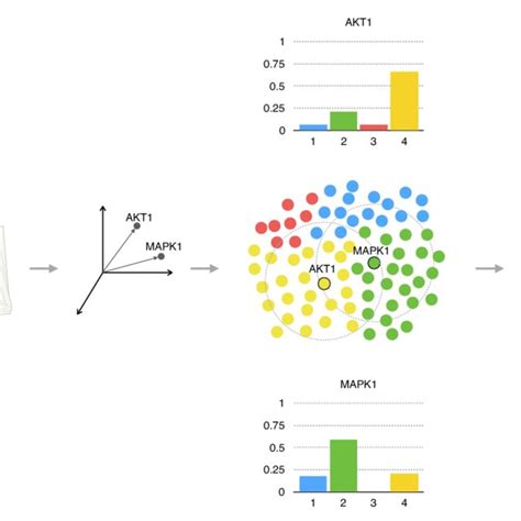 Schematic Representation Of Interact The Parsed Text Is Used As Input Download Scientific
