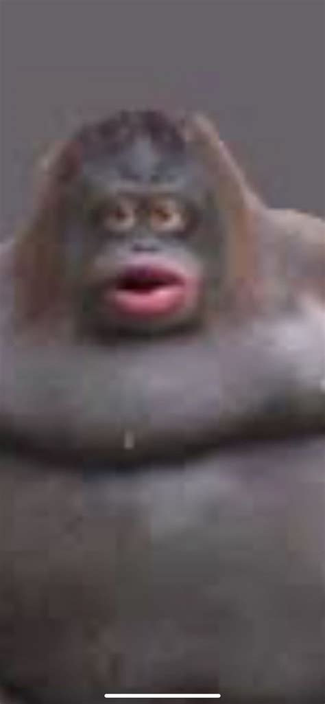 Uh Oh Meme Uh Oh Memes And Images Imgur