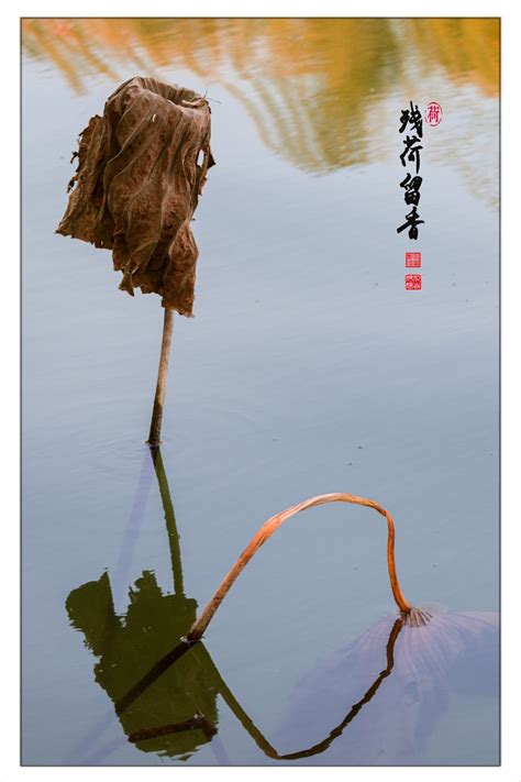 残荷