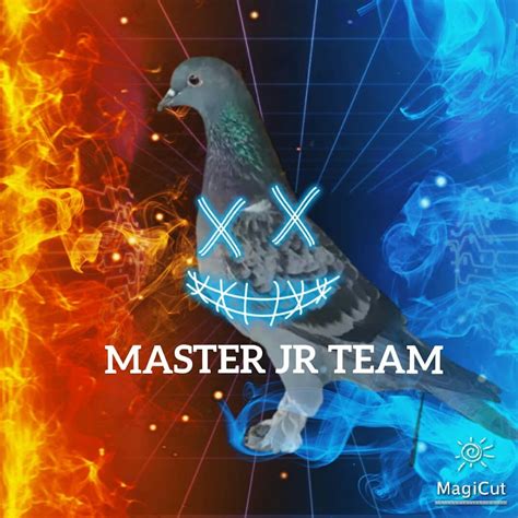 Master Jr Team Youtube