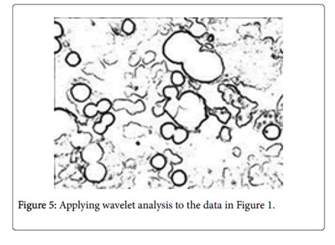 Journal Of Clinical And Experimental Pathology Wavelet Analysis As Research Tool Image