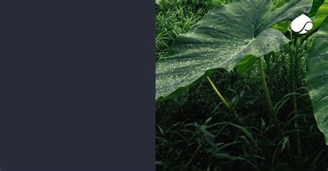 Daniela Oviedo On Linkedin Women In Ai Awards