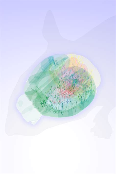 Everything Everywhere All At Once Decision Making Signals Engage Entire Brain The Transmitter