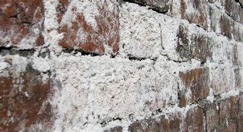 Salt And Efflorescence