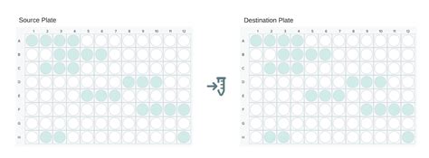 Use A Plate Layout In The Input File Generator Benchling