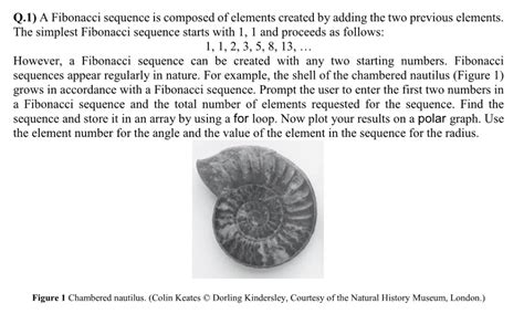 A Fibonacci Sequence Is Composed Of Elements Created