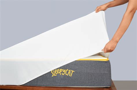 Reasons Your Memory Foam Mattress Needs A Protector SleepyCat