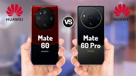 华为mate60支持5g网络，10月发布？高管回应：假消息！