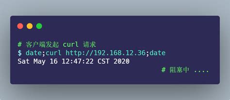 43 Tcp 实战抓包分析 小林coding