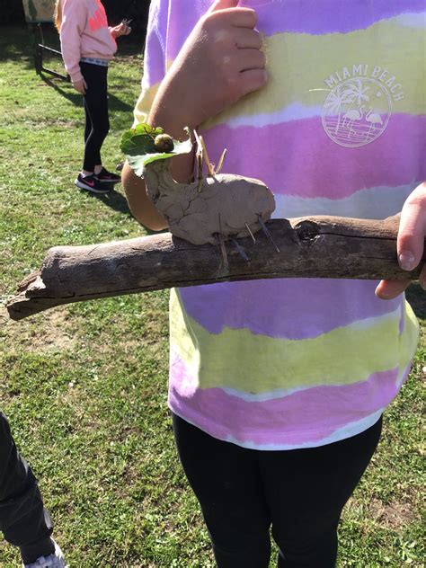 St Chads Cofe Primary School Lichfield On Twitter Y5 Loved Their First Forest School Session