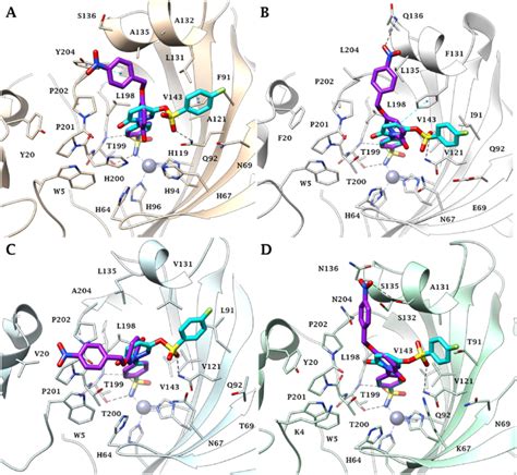 Predicted Binding Mode Of 5c Purple And 7f Cyan Within A Ca I B