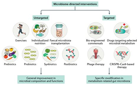 科学网Nature综述肠道微生物在人类代谢健康与疾病中的作用 刘永鑫的博文