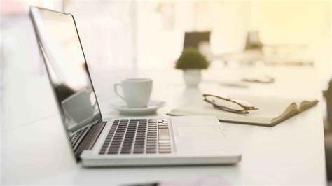 Toptal Vs Codeable Pros Cons And Surprising Differences You Need To Know Rosetta Digital