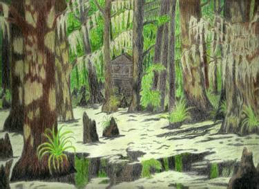 Swamp Drawing At PaintingValley Com Explore Collection Of Swamp Drawing