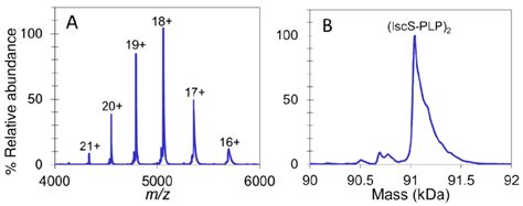 Figure S5 Native Mass Spectrometric Measurement Of Iscs In 200 Mm Download Scientific Diagram