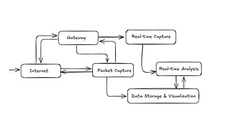 Real Time Streaming Systems For Customized Network Traffic Capture
